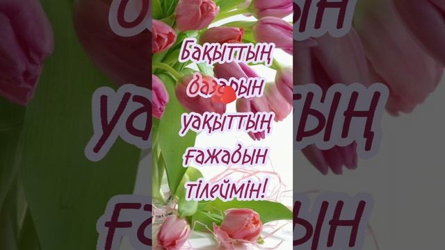 Кайырлы тан. Қайырлы таң. С добрым утром. Good morning