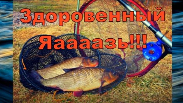 Здоровенный Яаааазь!!! Рыба моей мечты. Авторский инструментал SaAnVi.