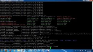 Instalación nginx como LB manteniendo la sesión del usuario video2