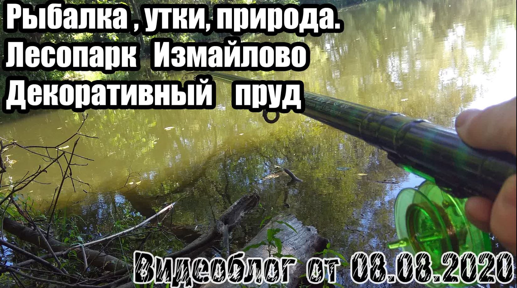 Рыбалка на декоративном пруду в лесопарке Измайлово (08.08.2020)