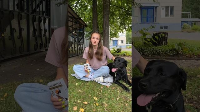 БИОРИТМ - витаминно-минеральный комплекс для собак