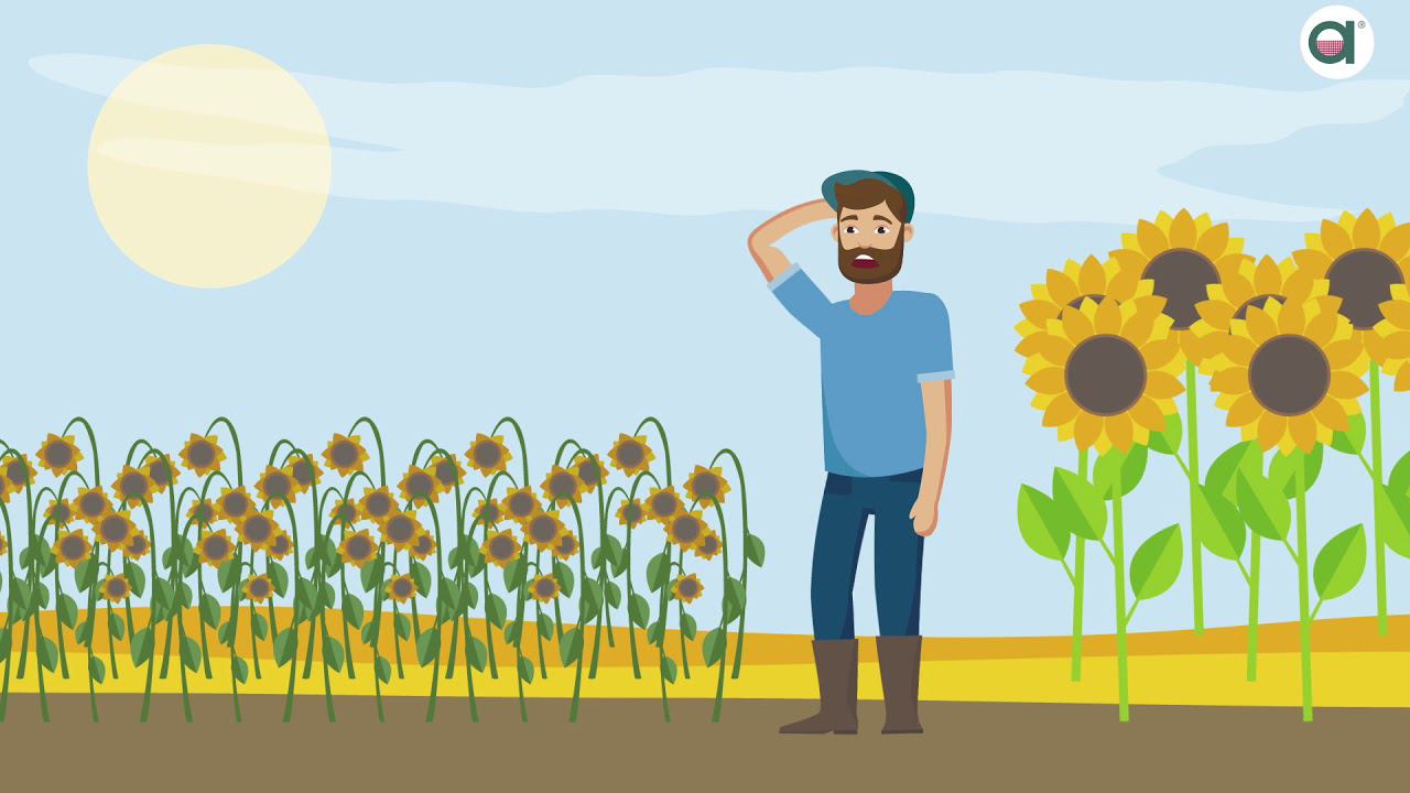 UAN Modern Fertiliser