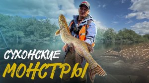 СУХОНСКИЕ МОНСТРЫ. Новый рекорд по щуке. Ловим на крупные приманки.