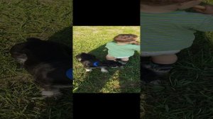 20230724_172955.mp4