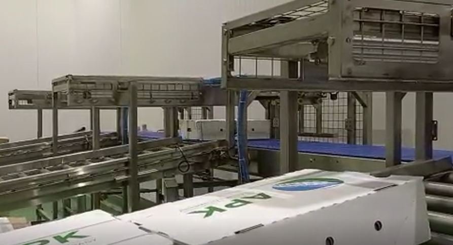 Распределение коробов после боксфризера. Вариант №1