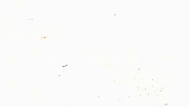 Часть 78424 28 08 05.mp4