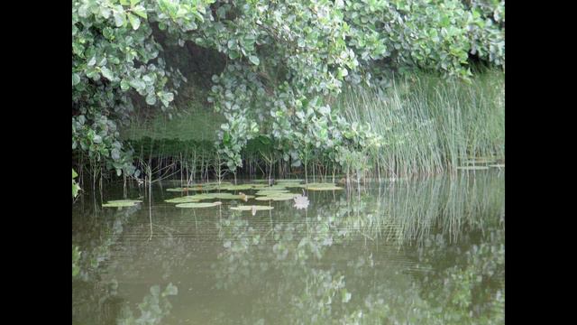 Lens: оз. Диджюлис, Даугай, Литва