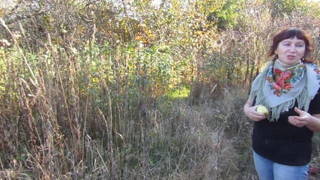 СТ "Мичуринец". По местам жизни Аркадия Букетова.