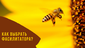 Как выбрать фасилитатора?
