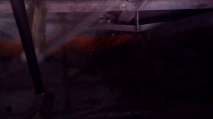 RNGI.RU _ УСО-20Р1 мешалки в работе (1)