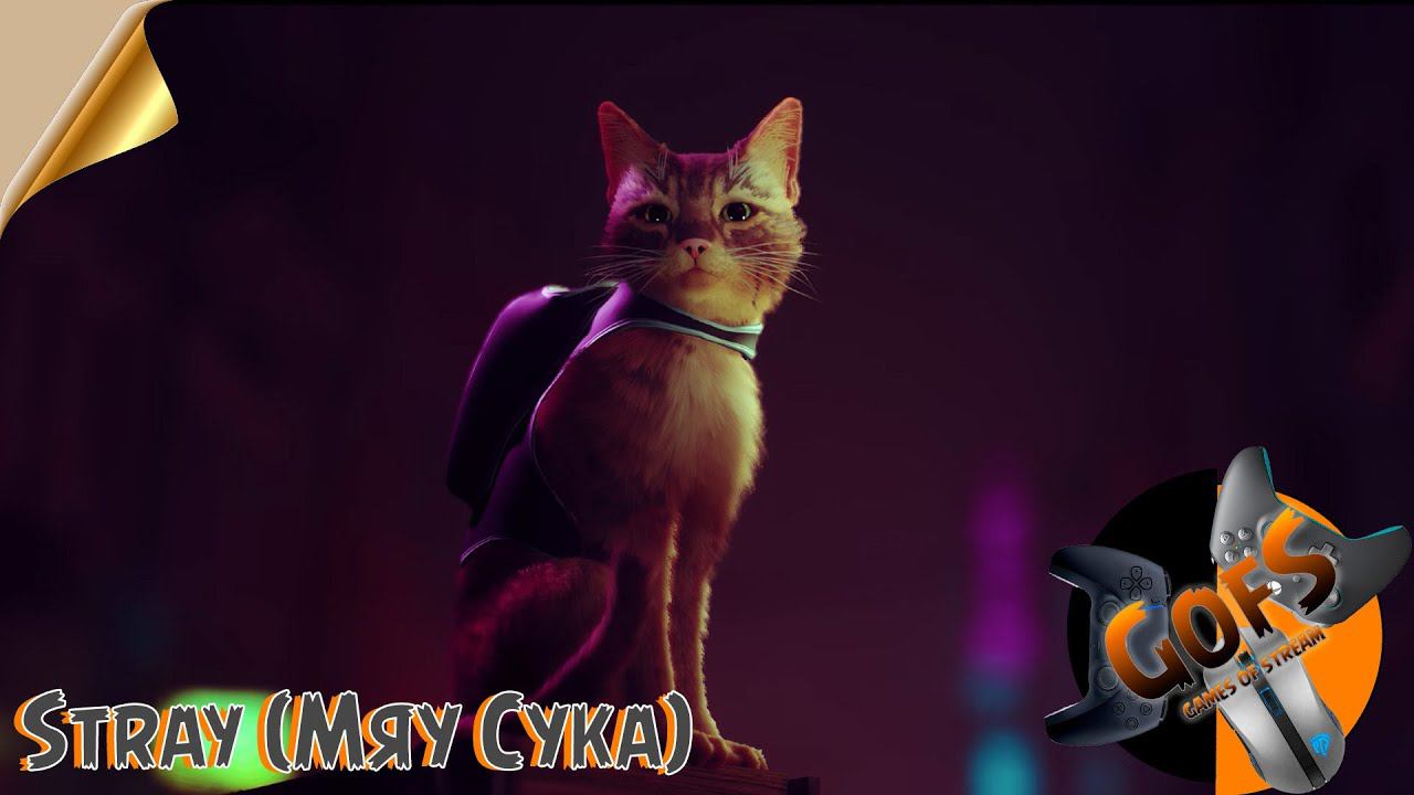 Stray (Эпизод 4)