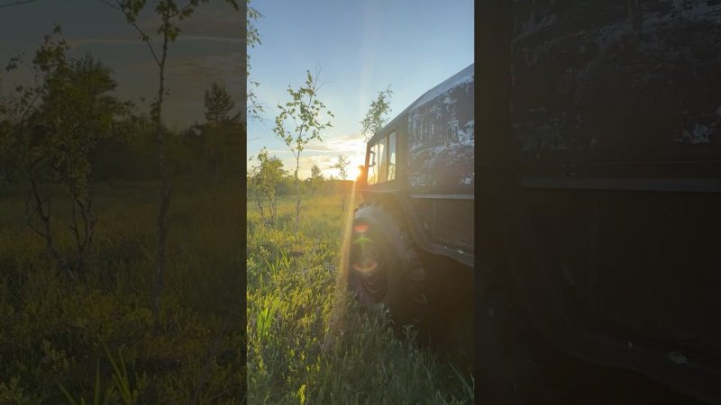 Как мы закат на болоте искали   #сервисшерп #вездеход #архант #offroad #шерп #travel #sunset #закат