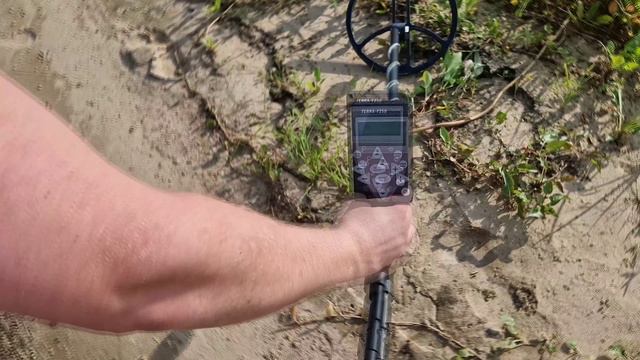 Металлоискатель Terra-F250D монета