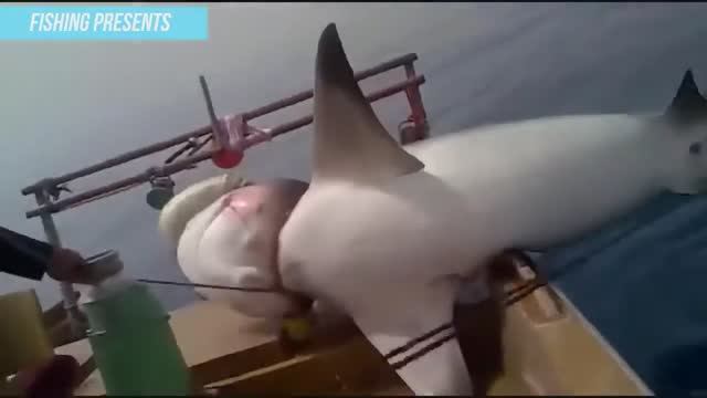 РЫБАЛКА В МОРЕ НА БОЛЬШИХ РЫБ.