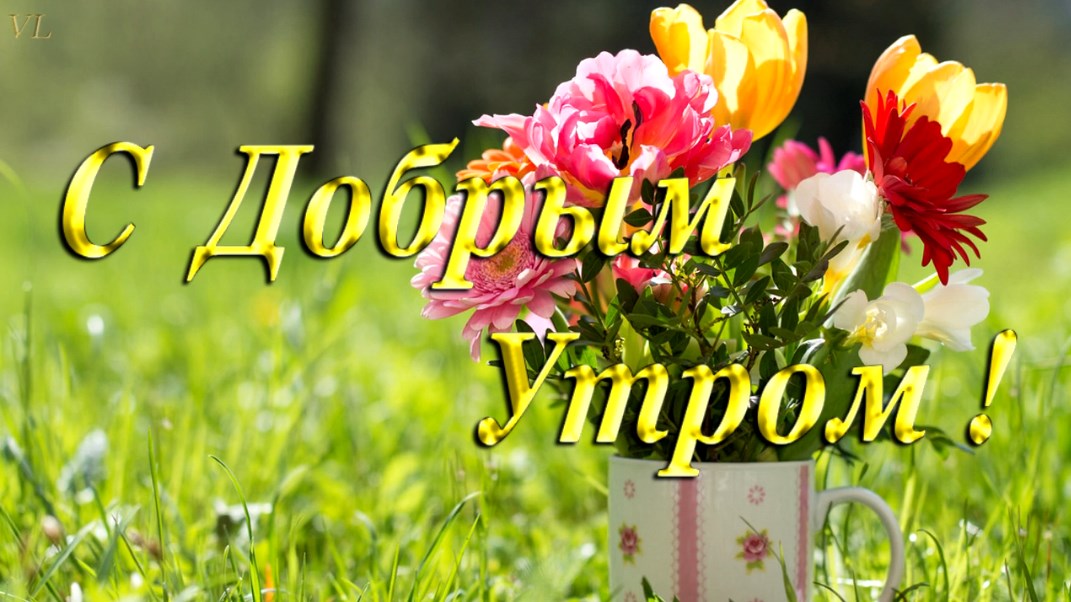 С ДОБРЫМ УТРОМ ! ХОРОШЕГО ДНЯ ! КРАСИВЫЕ ЦВЕТЫ | ОТКРЫТКА ДОБРОЕ УТРО | ПОЖЕЛАНИЕ С ДОБРЫМ УТРОМ