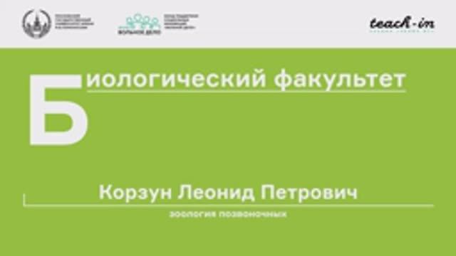 11. Рептилии. Зоология позвоночных - Корзун Л. П. Teach-in.