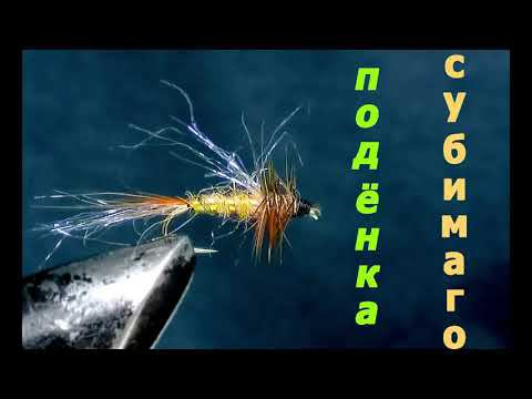 Подёнка  в поисках хариуса и ленка