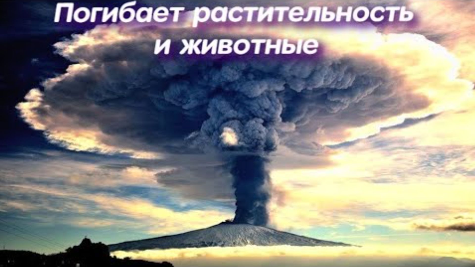 Извержение Вулкана Ла Суфриер охлаждает планету, погибает растительность _ Катаклизмы Сегодня