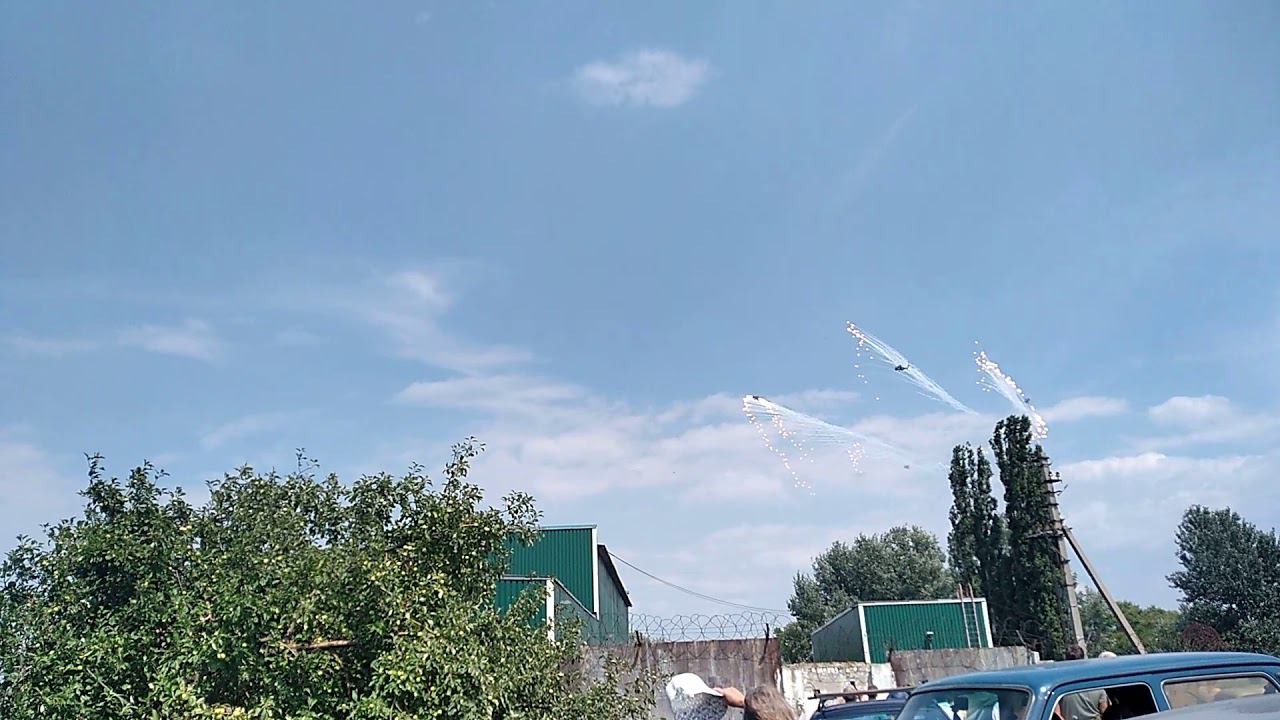 Беркуты