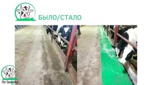 АГРОС 2024 Луг Здоровья Киров Полимерное покрытие кормового стола для КРС