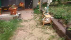 VID_20230608_152922_2.mp4