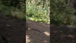 бабайка пришла за нами.