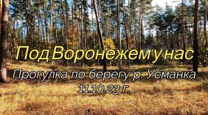 Под Воронежем у нас, прогулка по берегу р. Усманка,11.10.23 г.