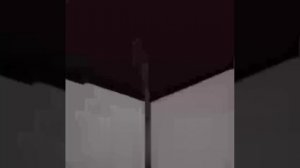 На чердаке стучат