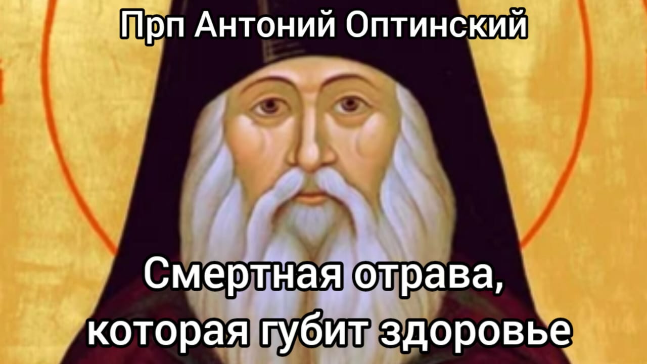 Смертная отрава, которая губит здоровье. Преподобный Анатолий Оптинский