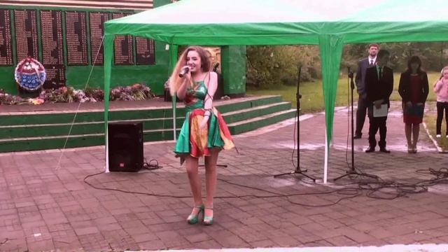 11) 2017.05.09_День победы_Александровка-Я рисую на окне