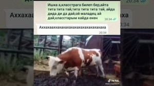 Без названия