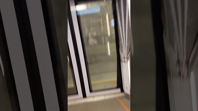 Москва 2020 на параде поездов