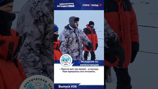 Видеодневник БАЭ. Выпуск №56 Встречи с полярниками и новые данные #shorts