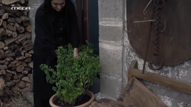 5 серия «Святой Паисий: из Фарасы на небеса» (RU)