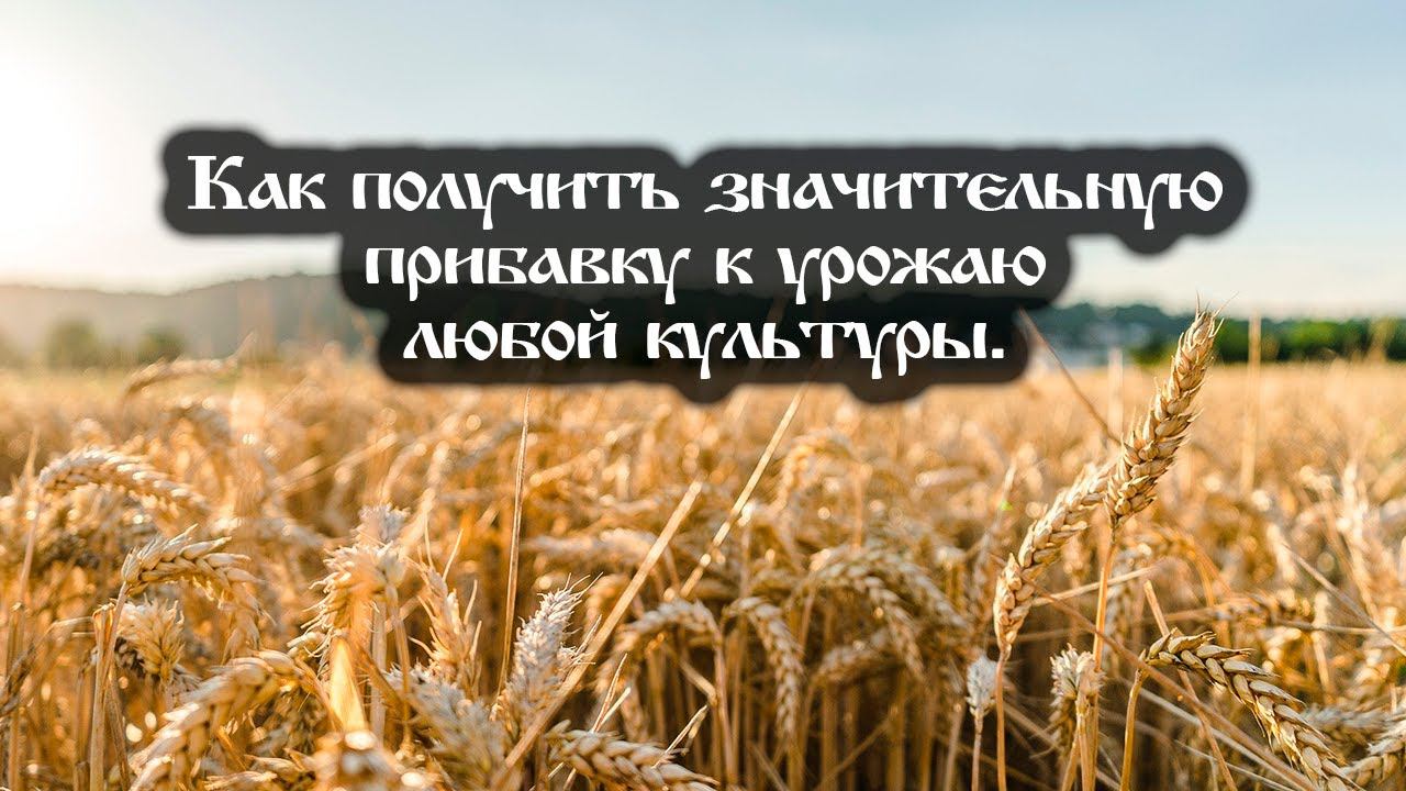 Как получить значительную прибавку к урожаю любой культуры