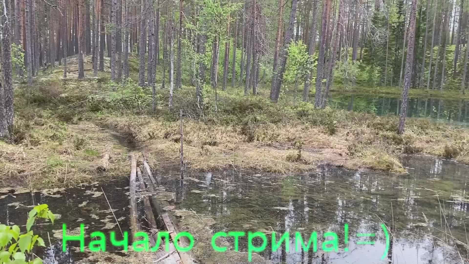 Лига пк=)