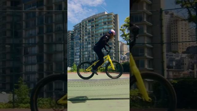 VID_20221228_143938_607.mp4