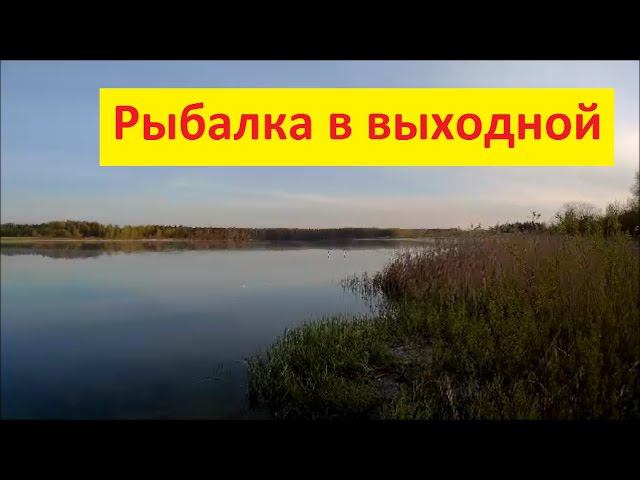 Рыбалка в выходной. Фидерная и поплавочная рыбалка.