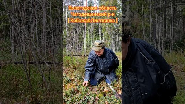 Карточка видео