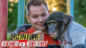 ДРЕССУРА В ЦИРКЕ: ИСКУССТВО или ЖЕСТОКОСТЬ? Шокирующая правда за кулисами Астанинского цирка