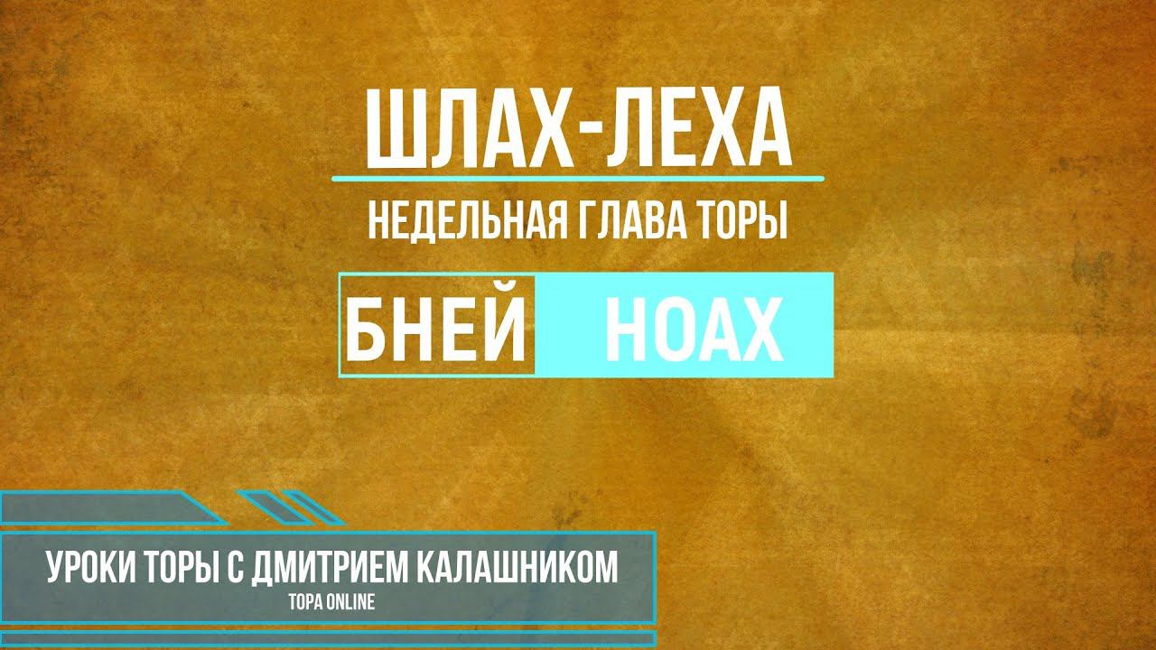 Недельная глава ТОРЫ "Шлах-леха" (...пошли себе) , книга "Бемидбар" (Числа) 5780