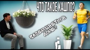ЧТО ТАКОЕ КАШПО? / ЗАЧЕМ ОНА НУЖНО? / ЧТО ЭТО?