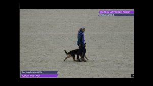 Чемпионат России по IGP 2021, Romtat Farm Afia, послушка
