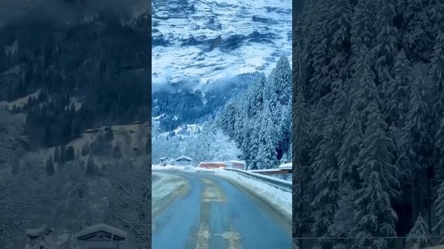 VID_20221220_223927_642.mp4