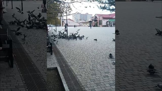 прикол