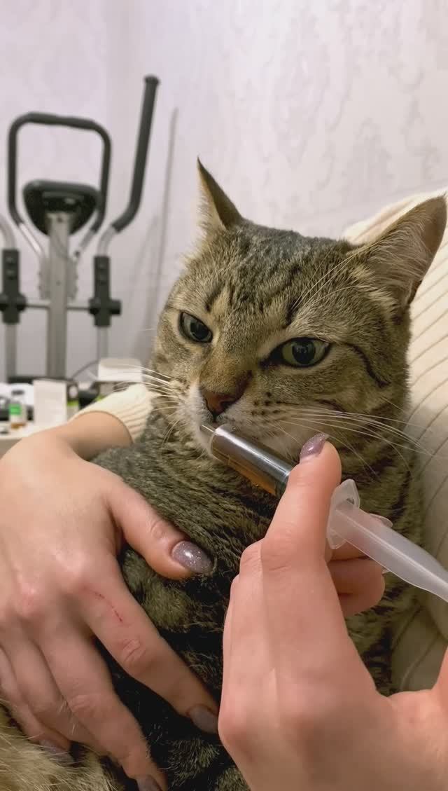 ФИТОДИЕТА КОТБАЮН - назначение, применение, эффективность