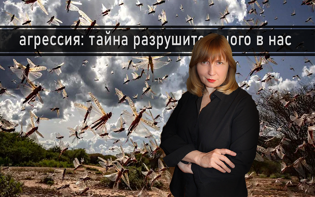 АГРЕССИЯ ХОРОШАЯ И ПЛОХАЯ