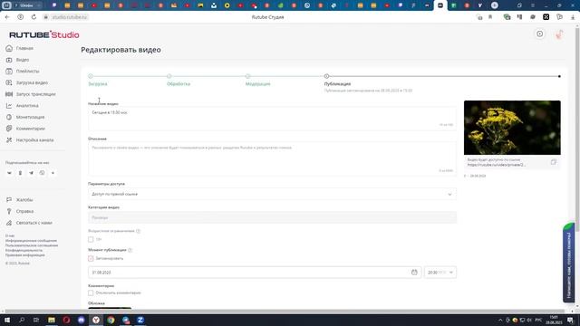ЗапланированнаяПубликация