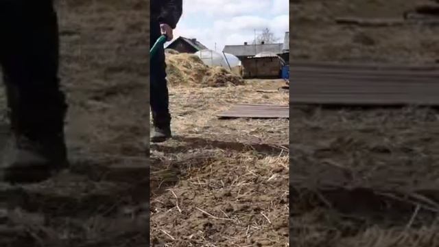 Удобряем огород. 
#деревня #деревенскаяжизнь #огород #сад #садовод