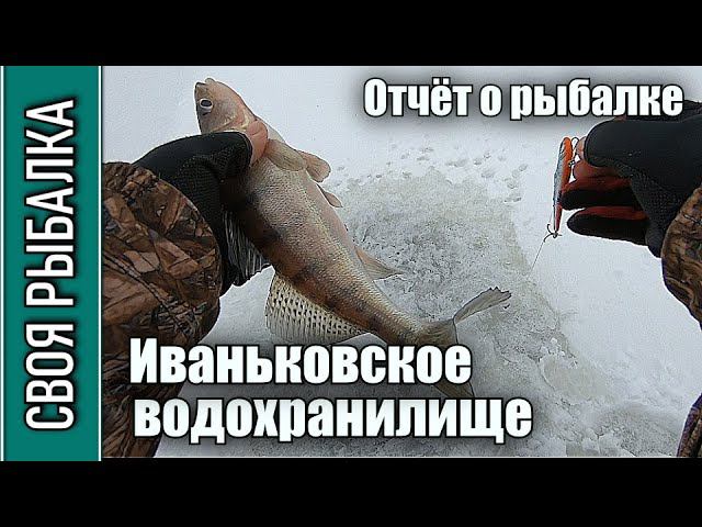 Отчёт о рыбалке Иваньковское водохранилище за 21 марта 2021